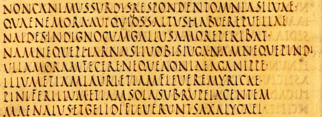 The Long and the Short of Latin Poetry – Antigone