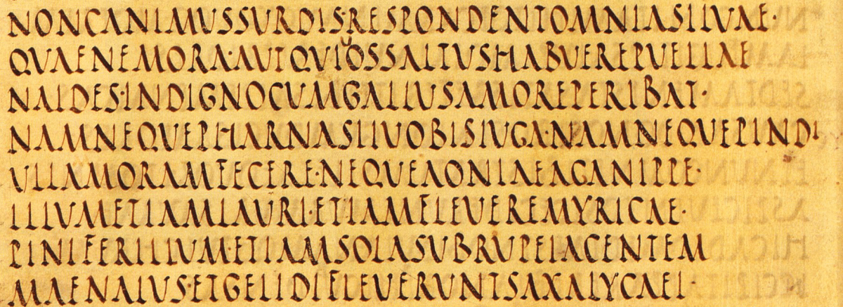 The Long and the Short of Latin Poetry – Antigone