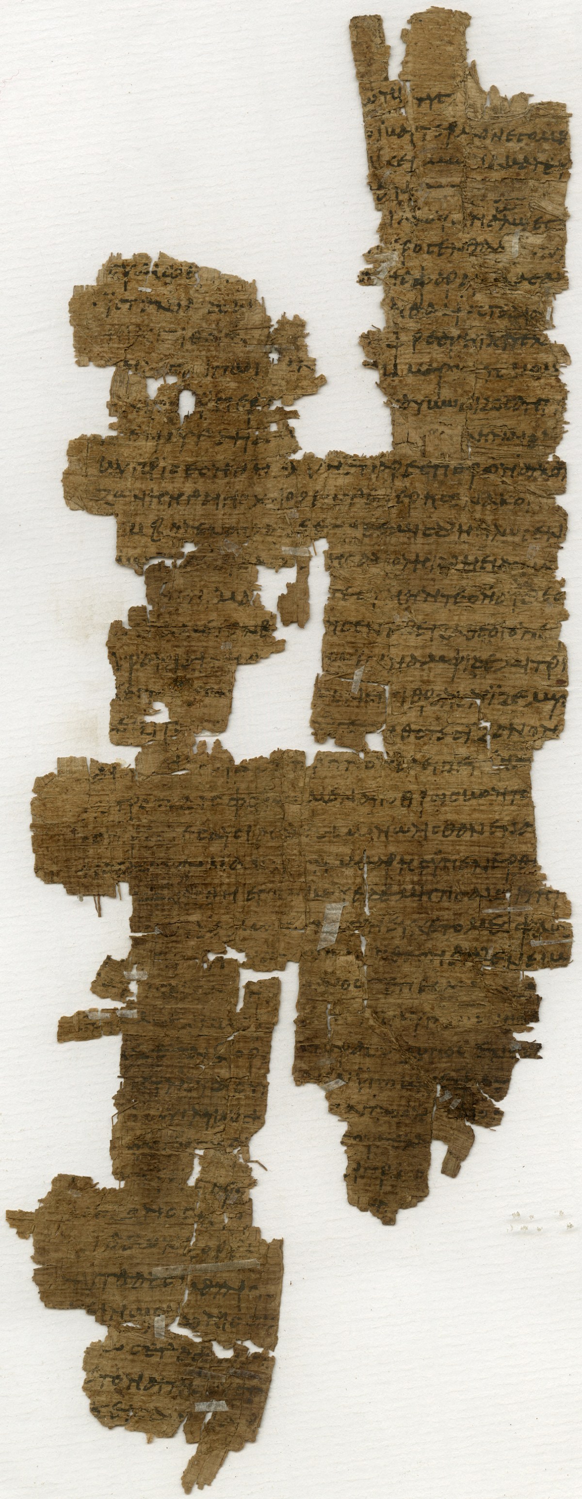 To Heaven on a Chariot: The Incredible Story of Poppaea Sabina – Antigone