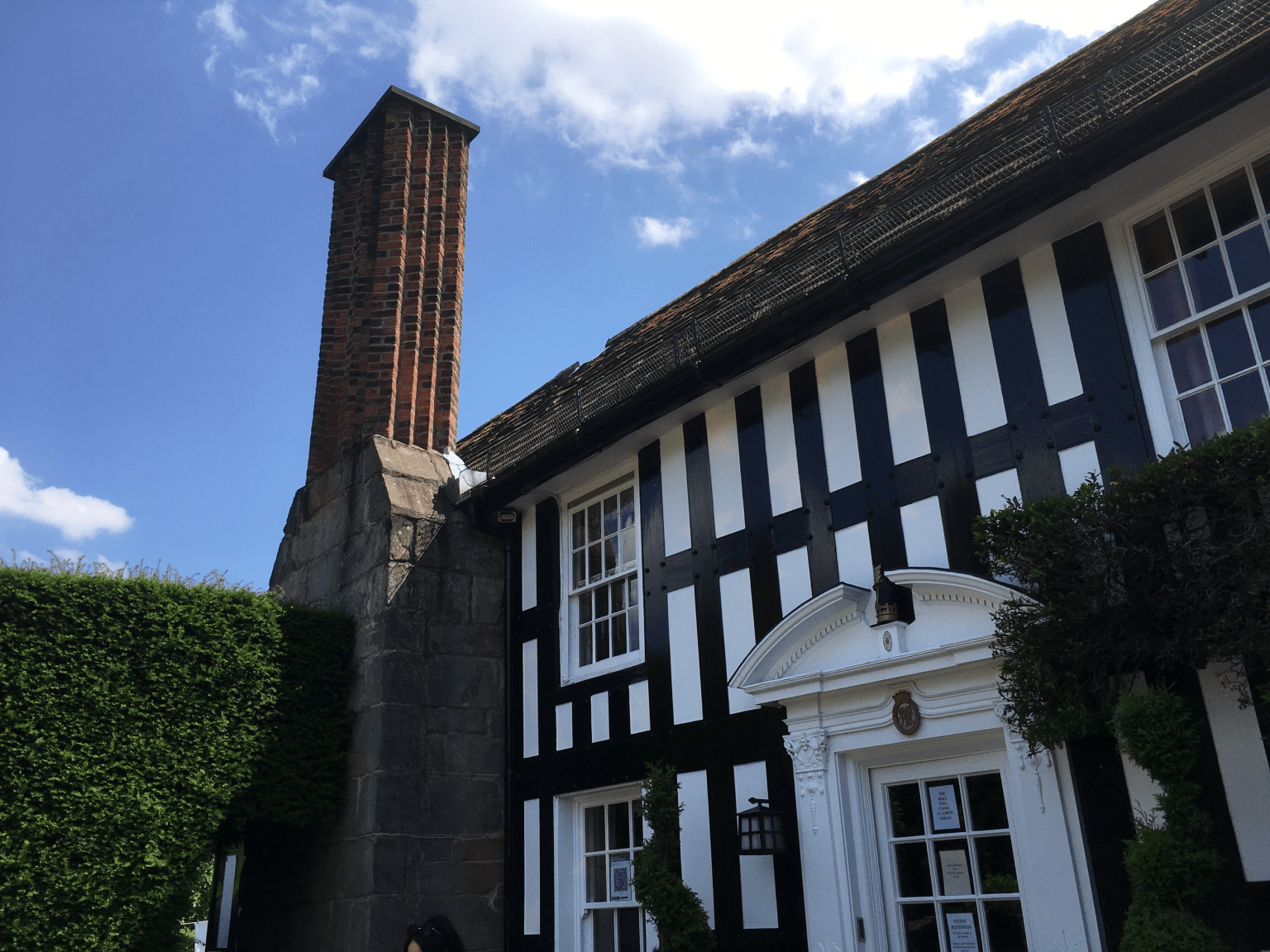 Whatever Happened to Caecilius? – Antigone