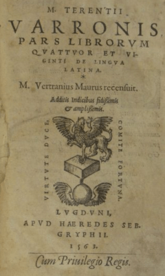 Why Do Irregular Nouns and Verbs Exist? An Ancient and Modern Problem ...