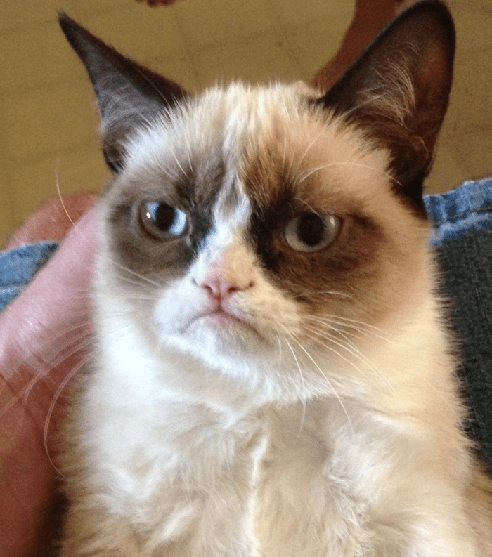 Larkin in Latin – Antigone