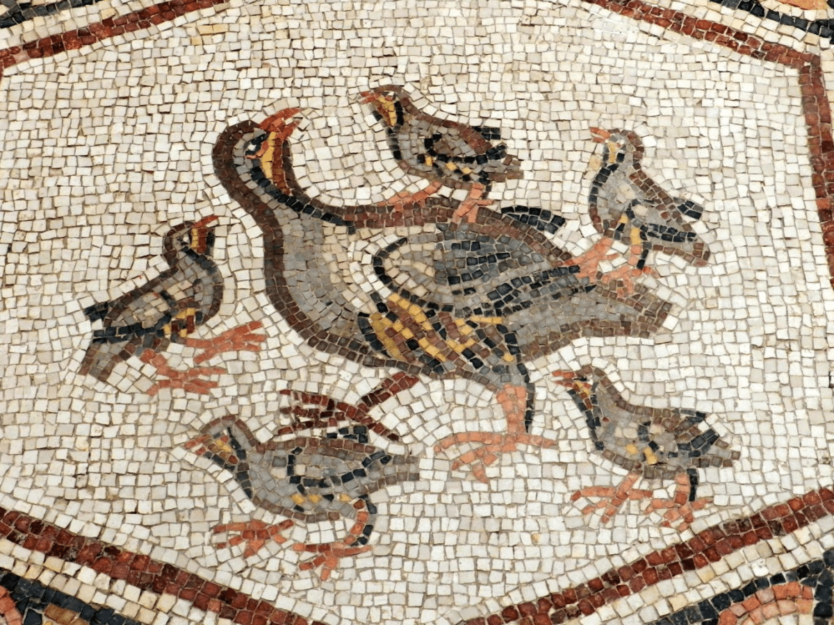 Classics in Translation? A Personal Angle (Part I) – Antigone