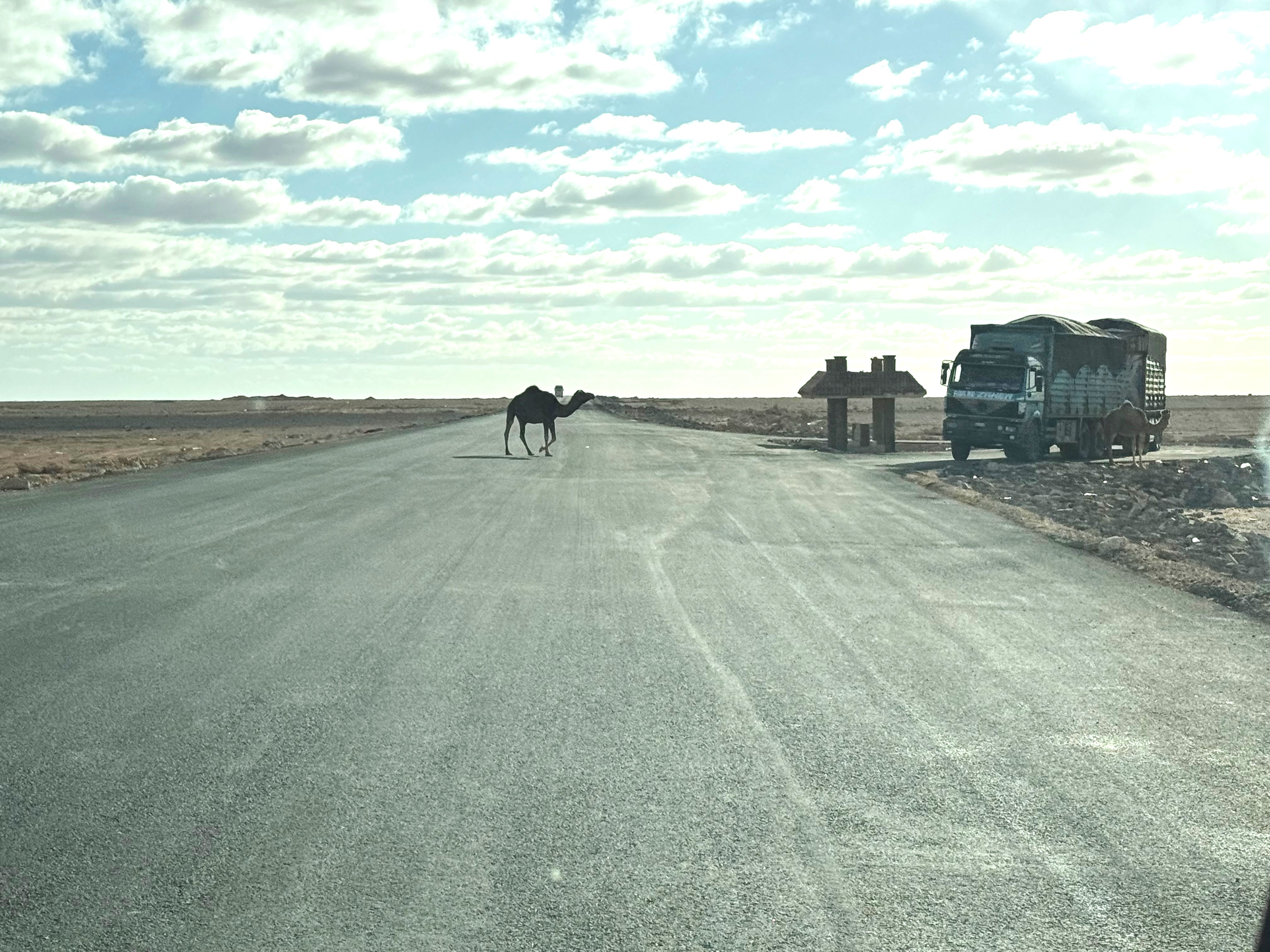 My Road Trip to Meet Zeus: The Siwa Oasis and the Oracle of Ammon ...